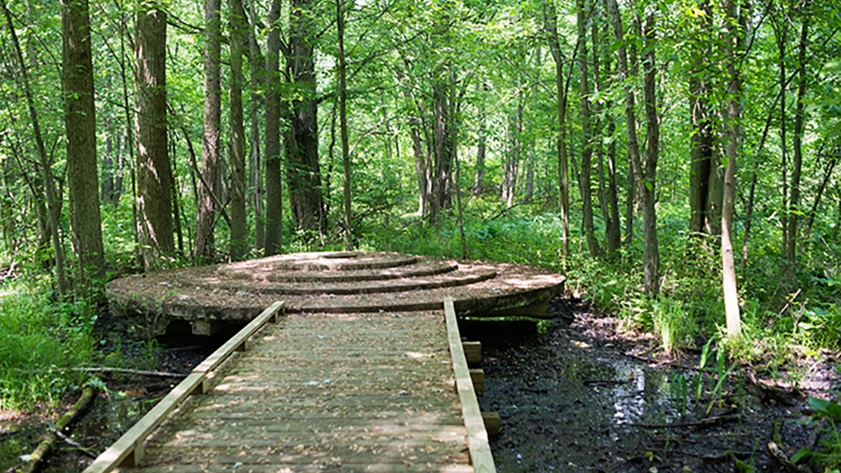 Meridian-Baseline State Park | Michigan