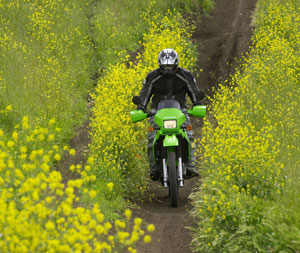 The Cycle Conservation Club of Michigan | Michigan