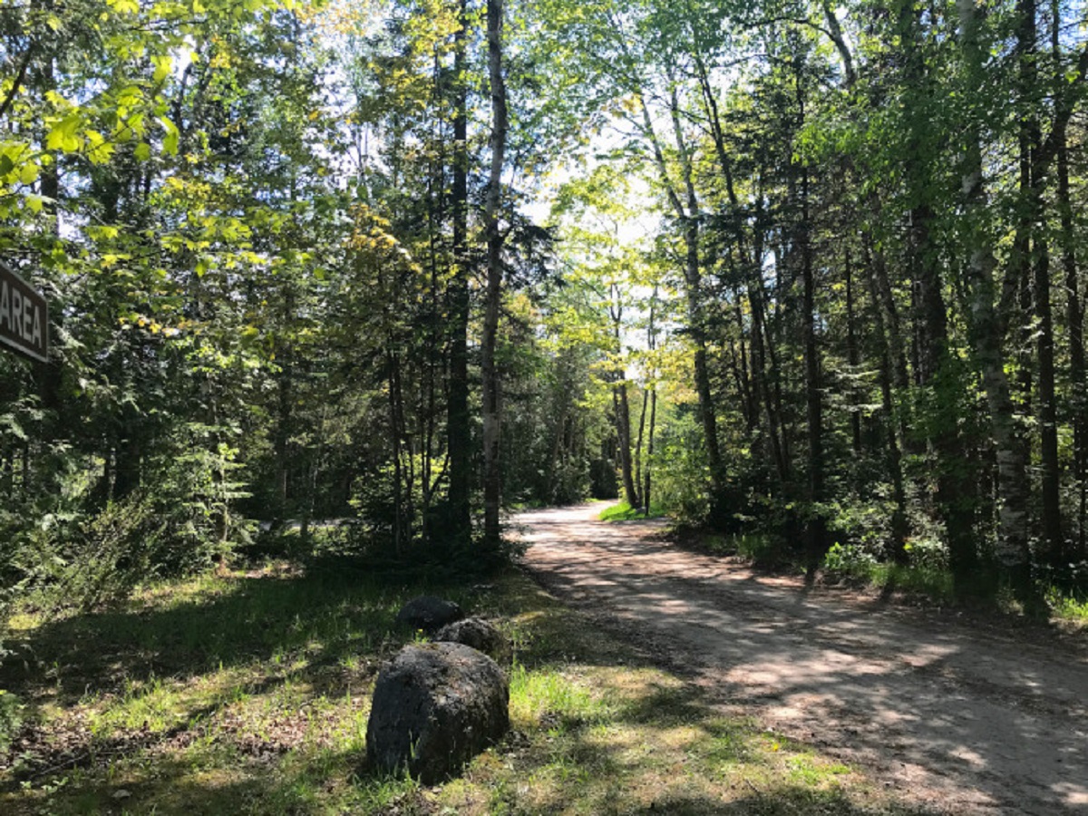 Switchback Ridge Pathway | Michigan