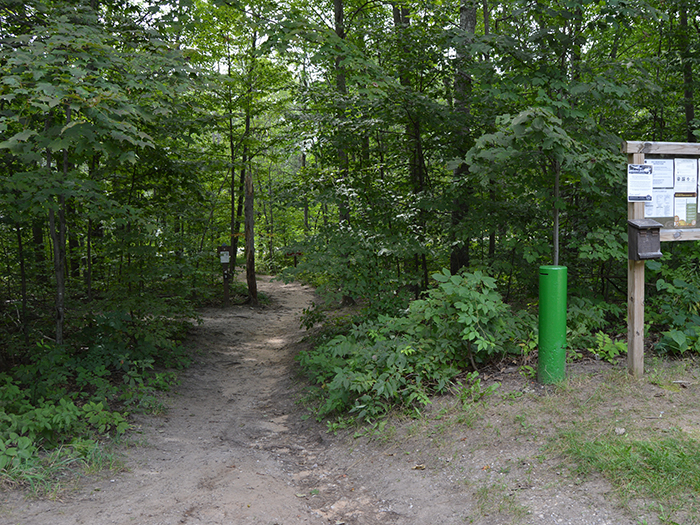 Lake Ann Pathway | Michigan