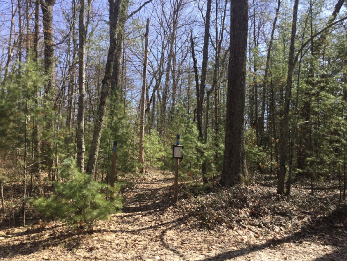 Sheep Ranch Pathway | Michigan