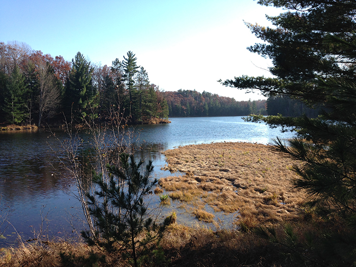 Trout Lake Pathway | Michigan