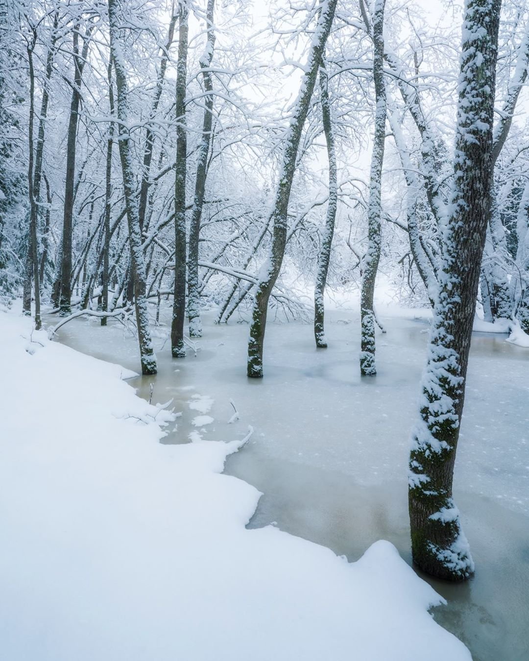 Cedar River Pathway | Michigan