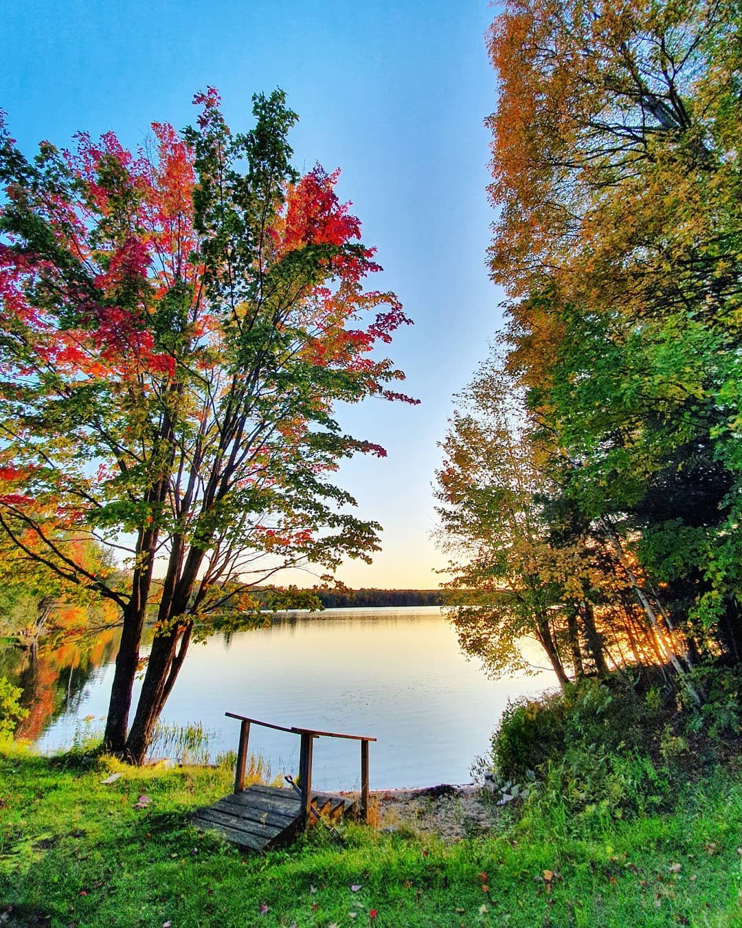 Bodi Lake Pathway | Michigan