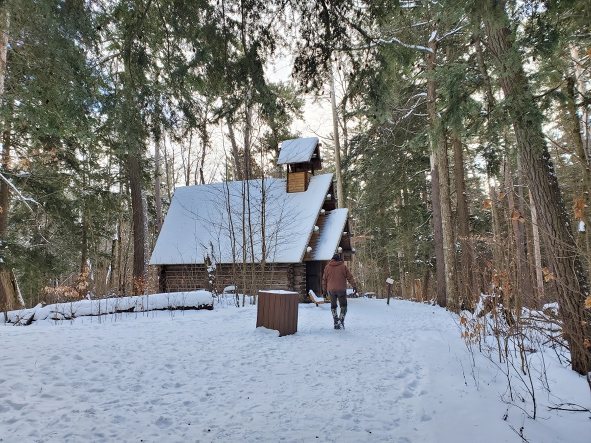 Hartwick Pines-Old Growth Forest Trail | Michigan