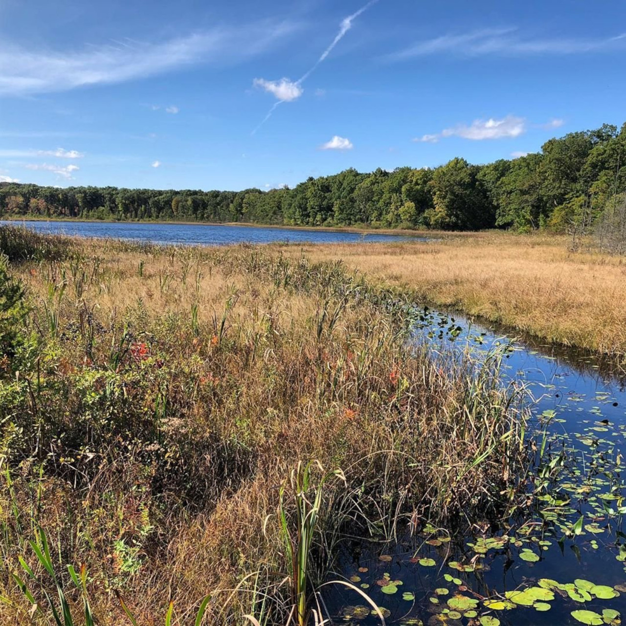 Waterloo-Pinckney Trail | Michigan