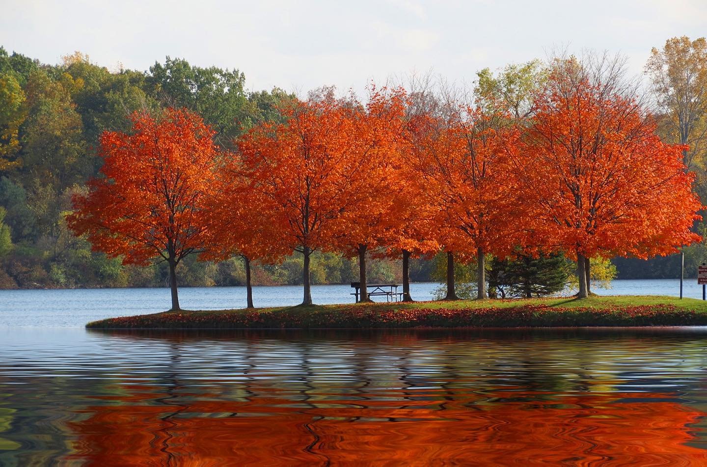 Seven Lakes-Nature Trail Loop | Michigan