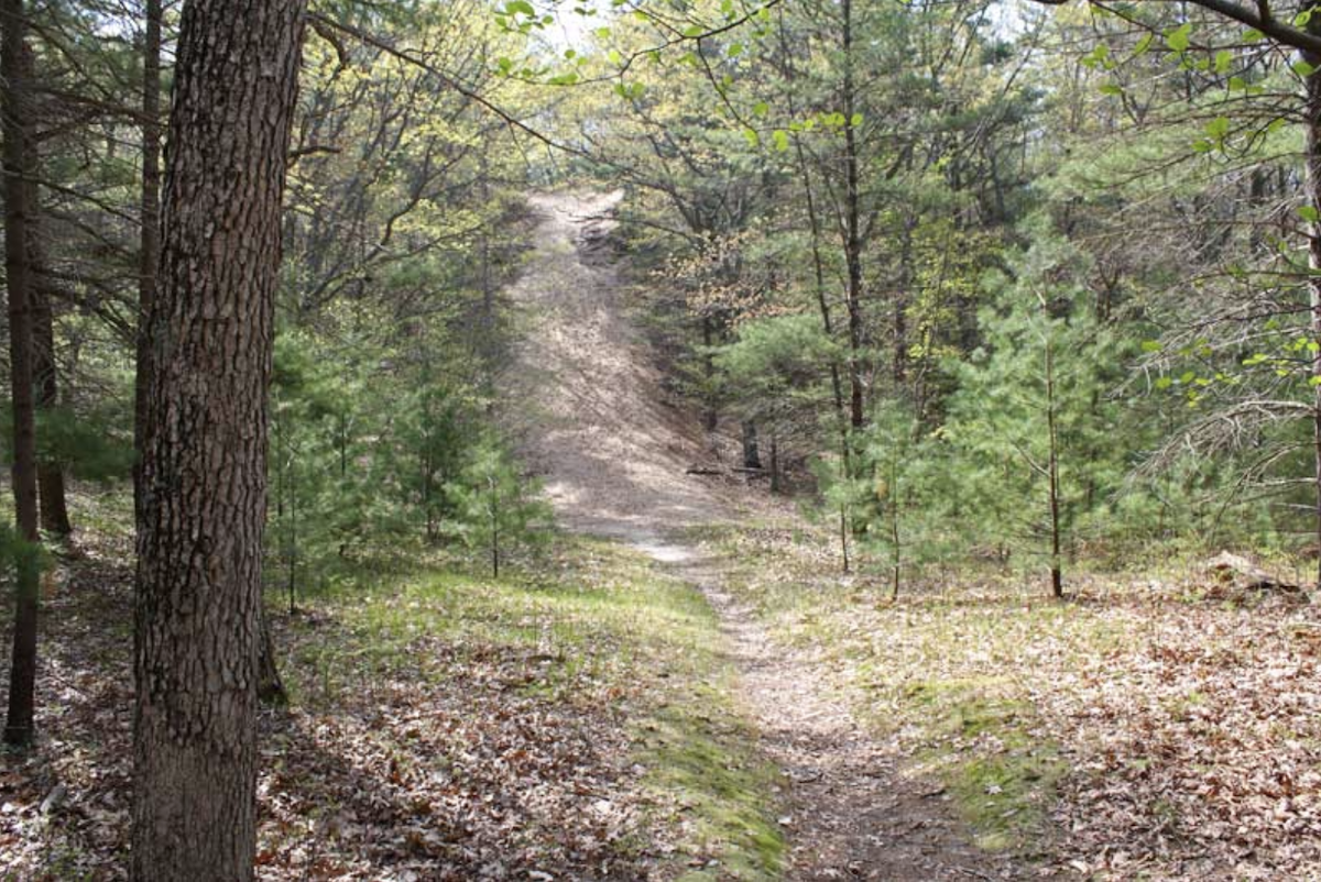 Muskegon Scenic Ridge Trail | Michigan