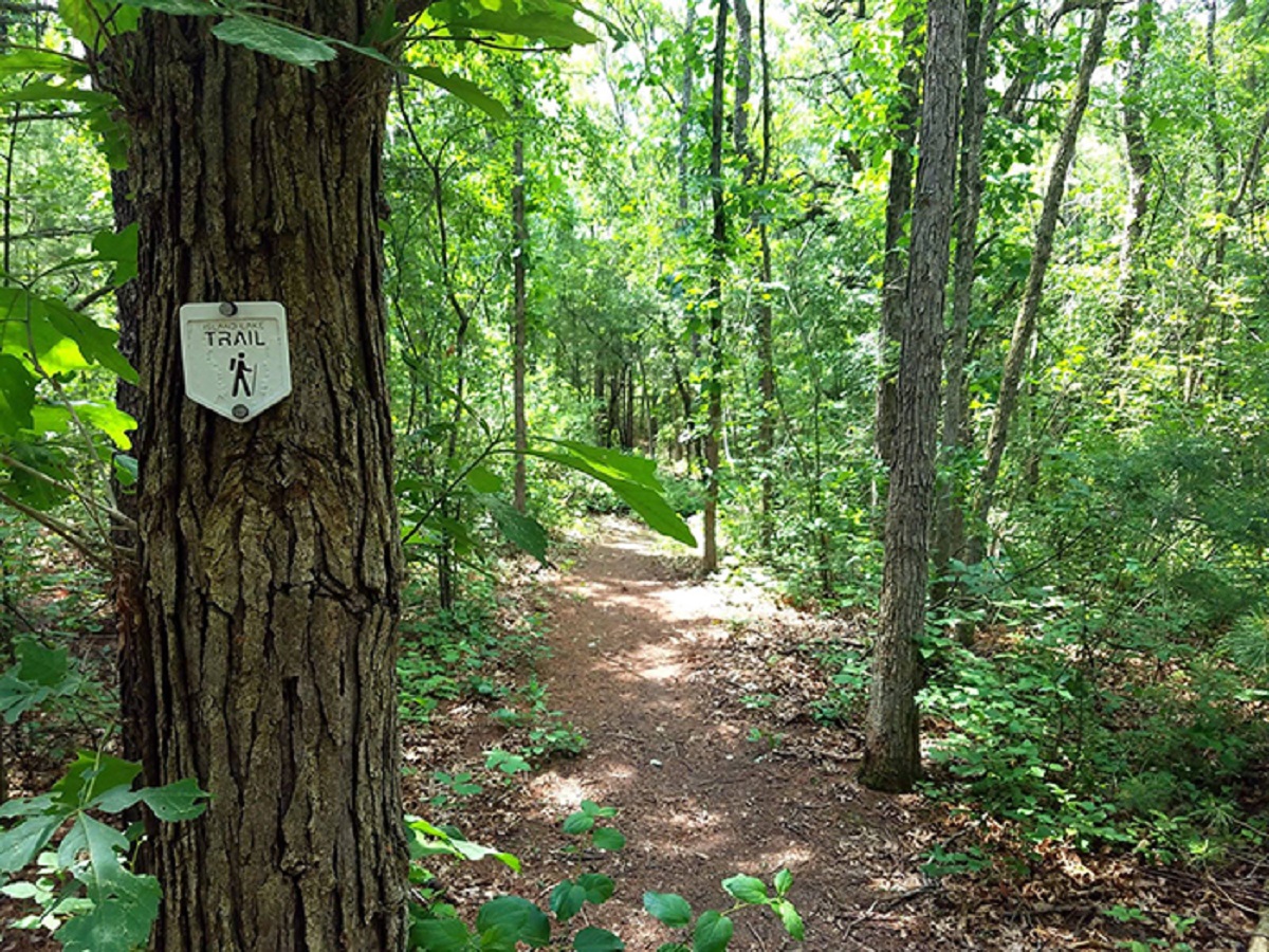 Island Lake Yellow Trail | Michigan