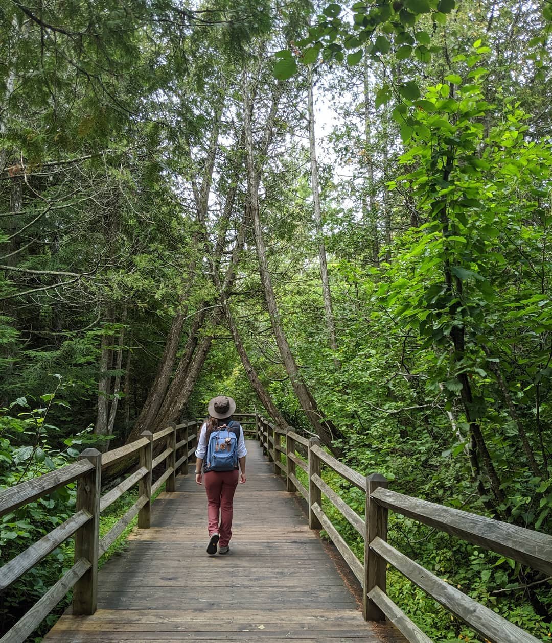 Tahquamenon Falls-Clark Lake Loop | Michigan
