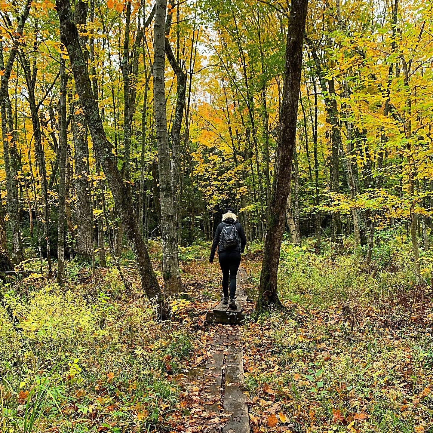 Porcupine Mts-Nonesuch Trail | Michigan