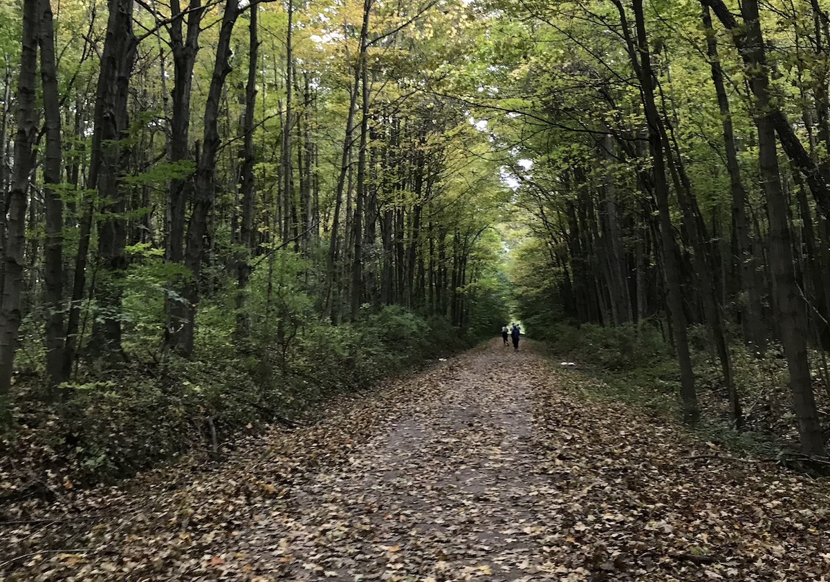Kal-Haven Trail State Park | Michigan