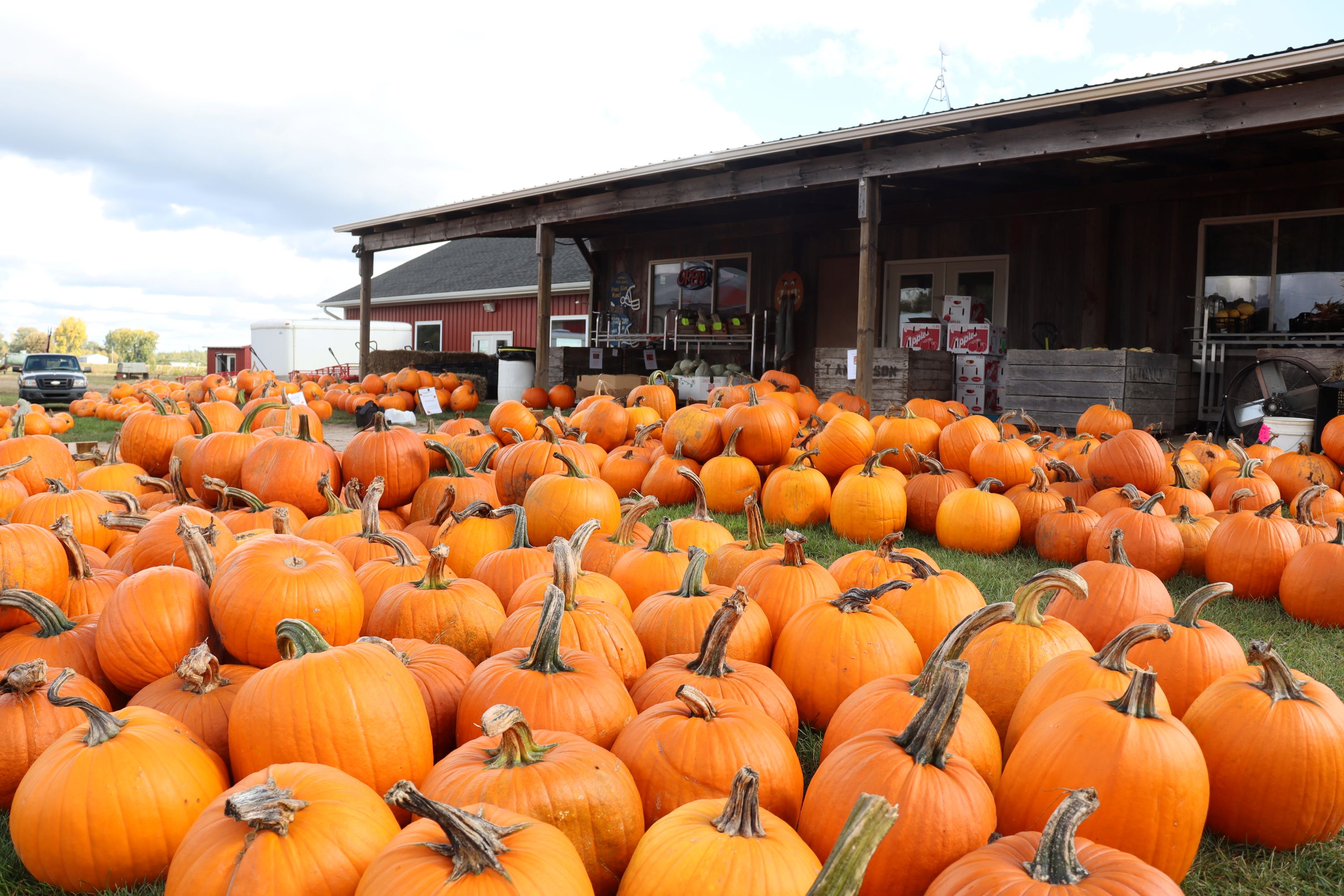 Papa's Pumpkin Patch and Country Farm Market | Michigan