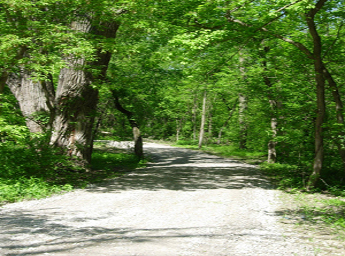 Lower Rouge River Recreation Trail | Michigan