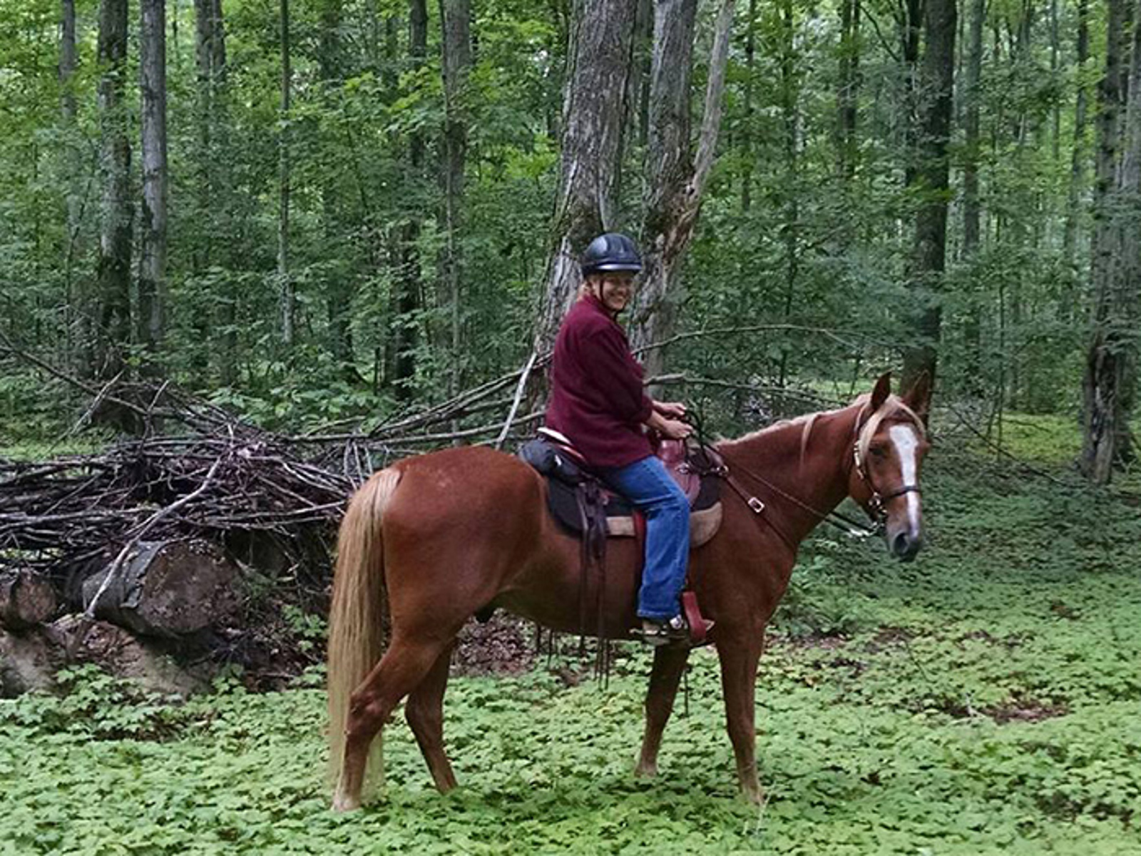 Big Oaks Equestrian Trails | Michigan