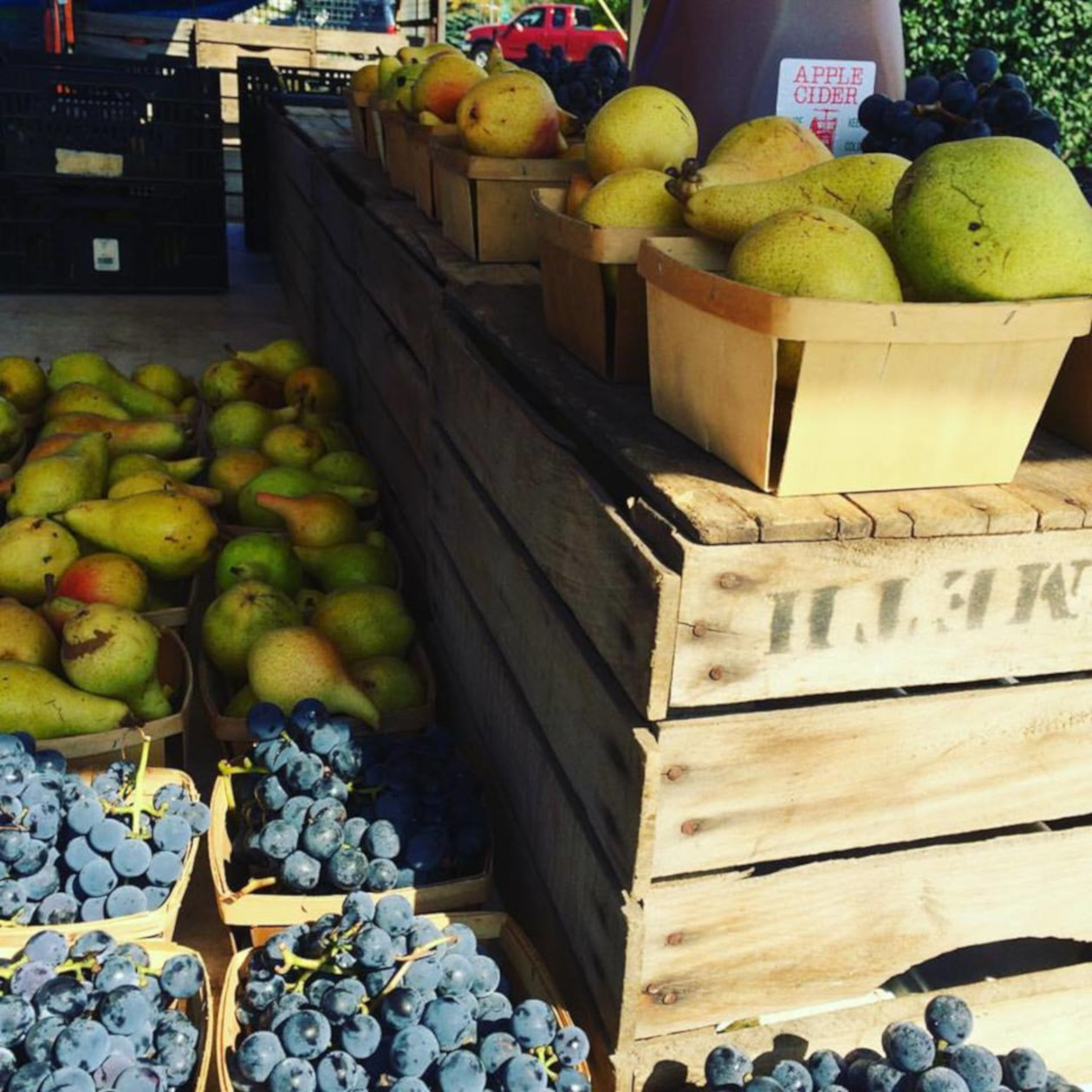 Westside Farmers Market | Michigan