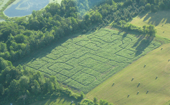 Four Green Fields Farm | Michigan