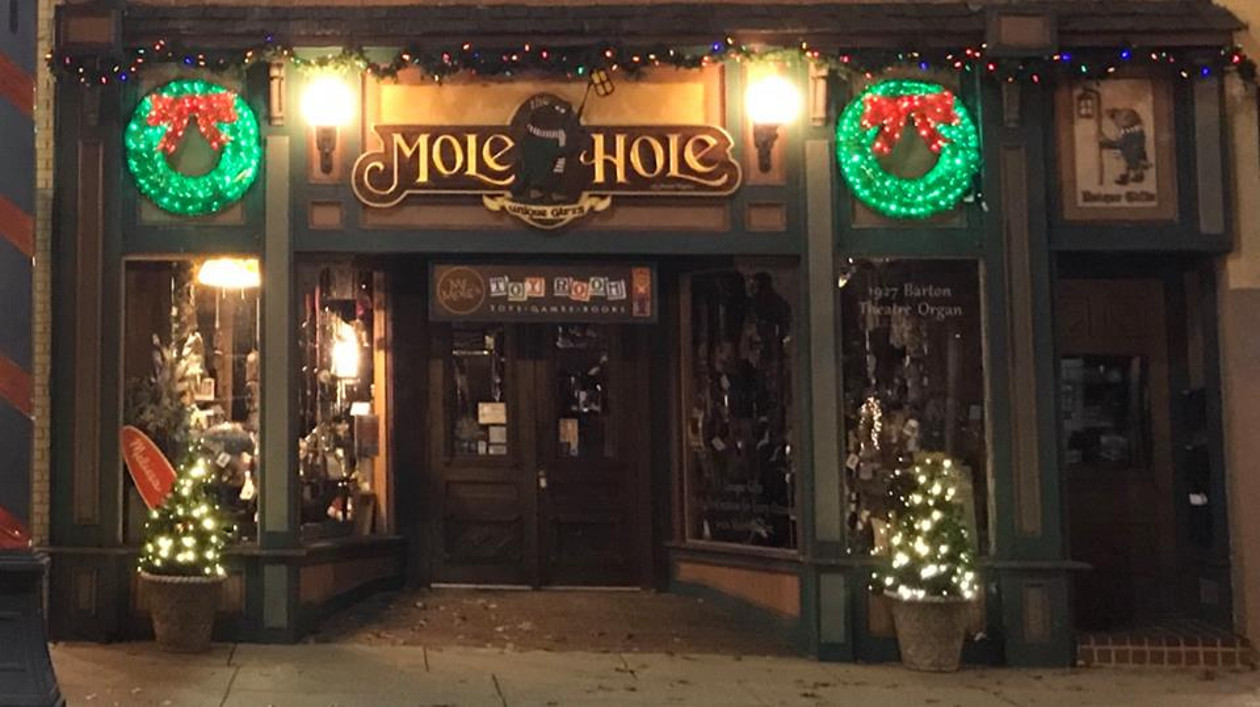 The Mole Hole | Michigan