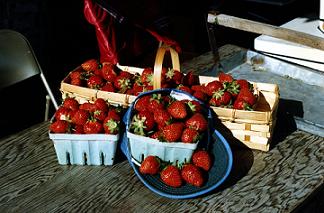 Mandigo Farms | Michigan