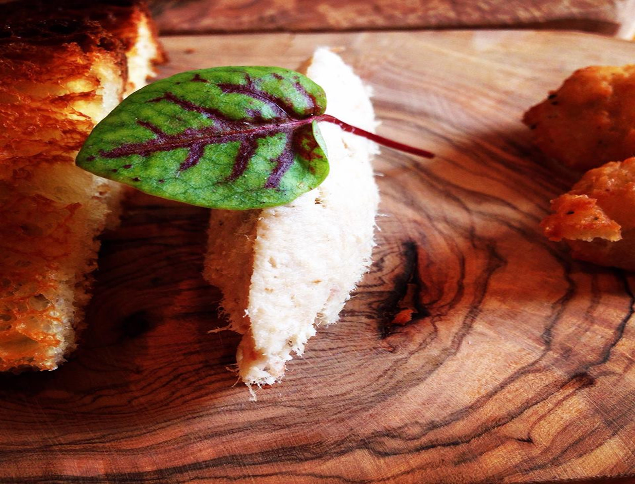 The Cooks' House | Michigan