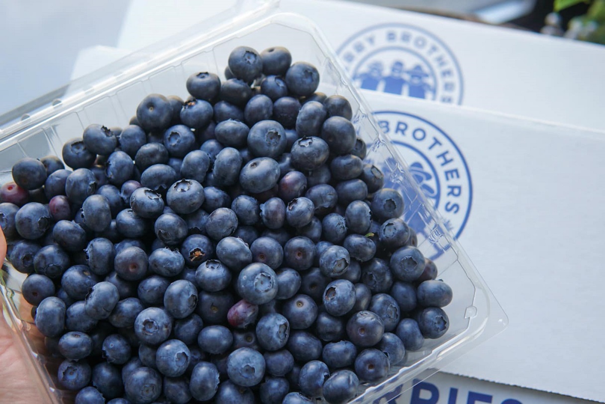 Berry Brothers Retail | Michigan