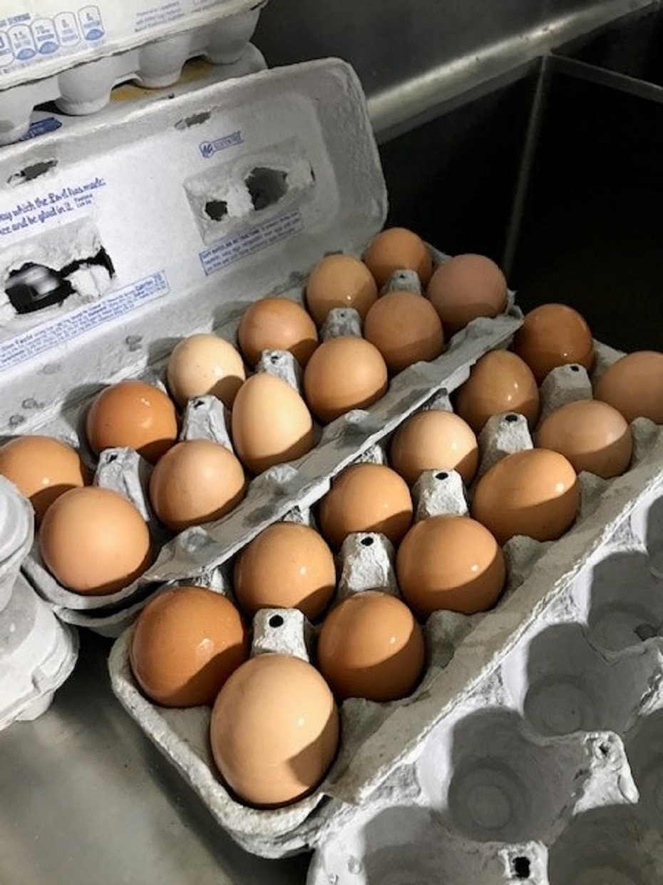 Shepherd Organic Produce & Poultry LLC | Michigan