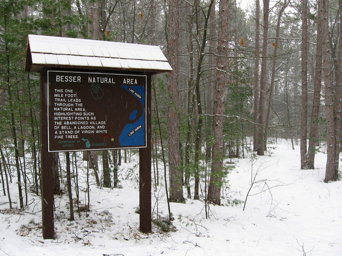 Besser Bell Pathway | Michigan