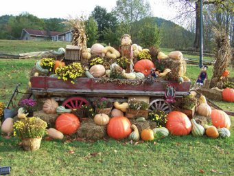 AJ's Berry Farm | Michigan