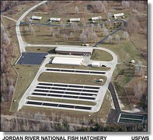 Jordan River National Fish Hatchery | Michigan