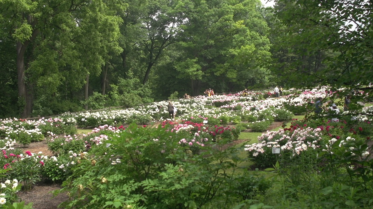 Nichols Arboretum | Michigan
