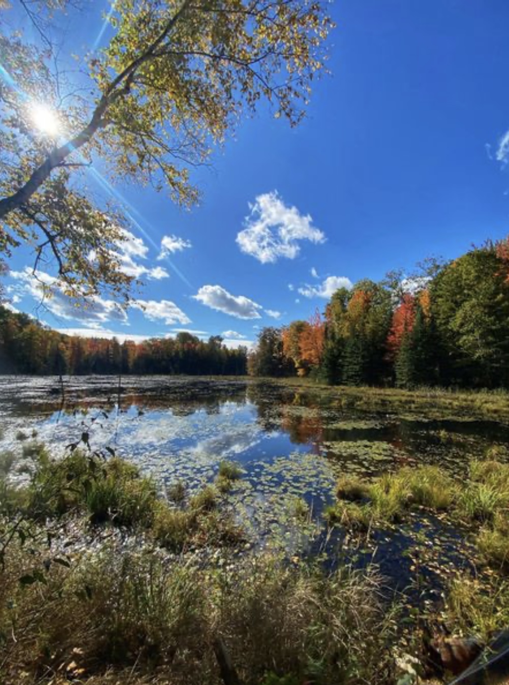 Barton City Lodge | Michigan