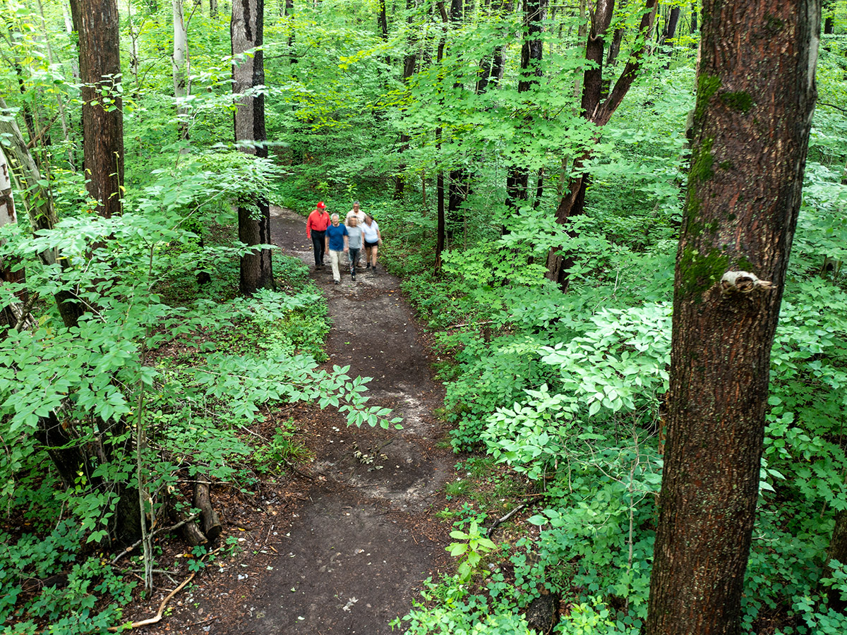 Warren Woods State Park | Michigan