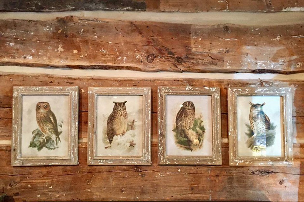 Primitive Images / Good Hart & Soul Tea Room | Michigan