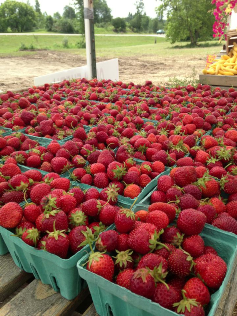 Farm Fresh Produce And CSA | Michigan