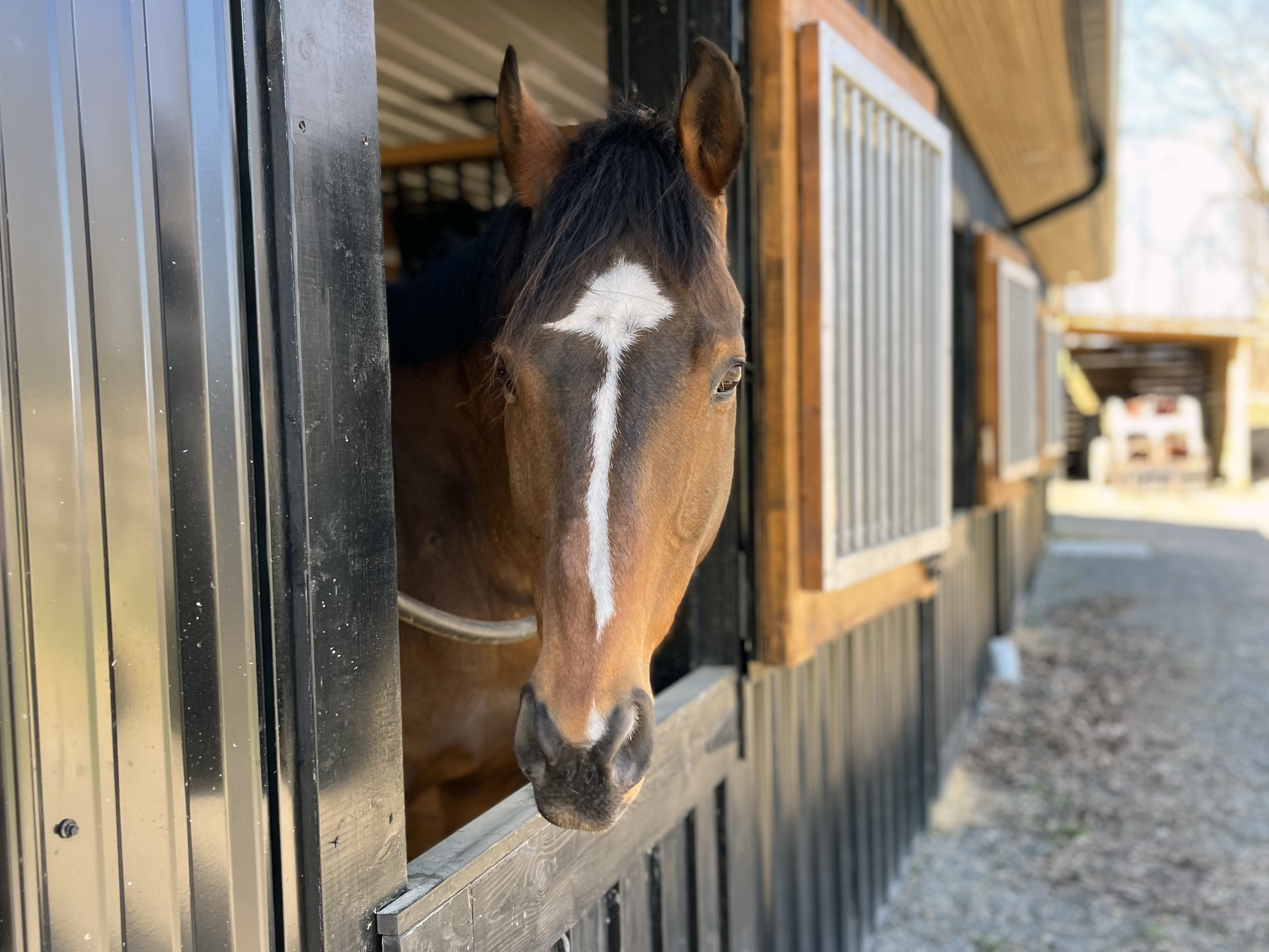 Stillwater Stables & Stays | Michigan