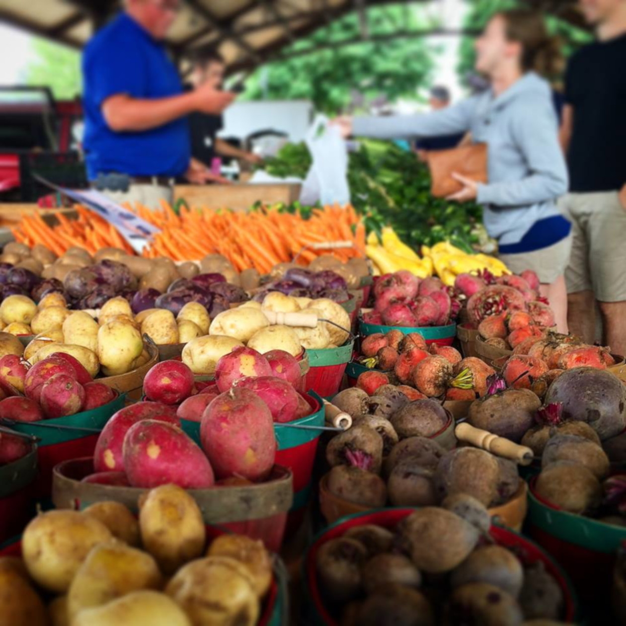 South Haven Farmer's Market | Michigan