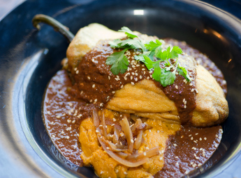 Seva Detroit | Michigan