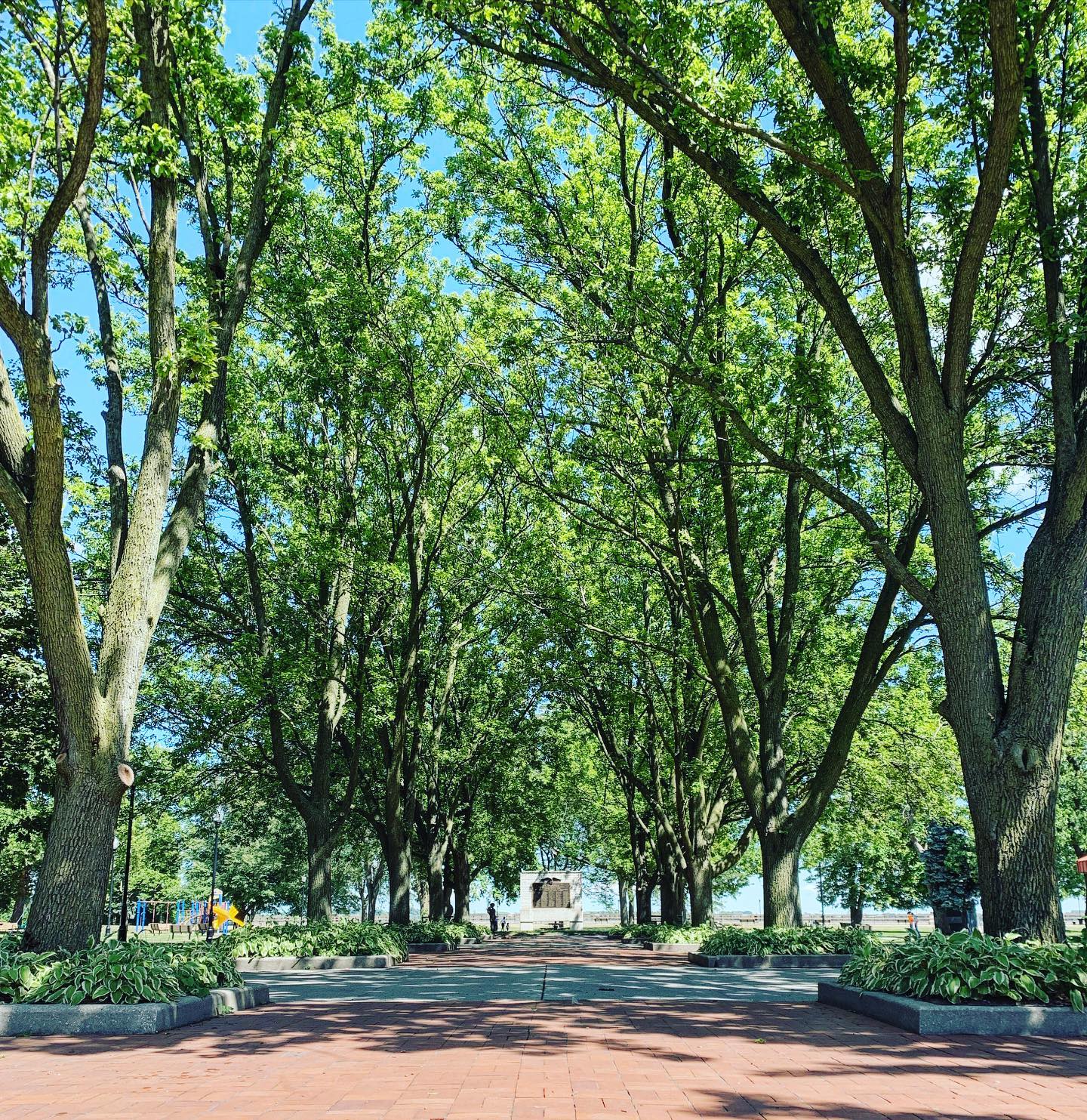 Bishop Park | Michigan