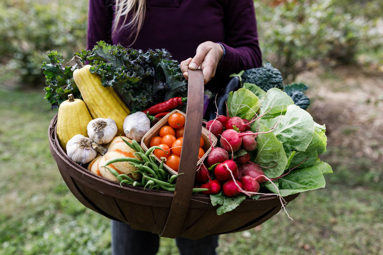 Granor Farm | Michigan