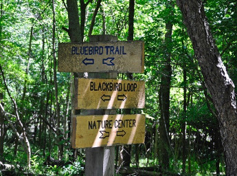 Stage Nature Center | Michigan
