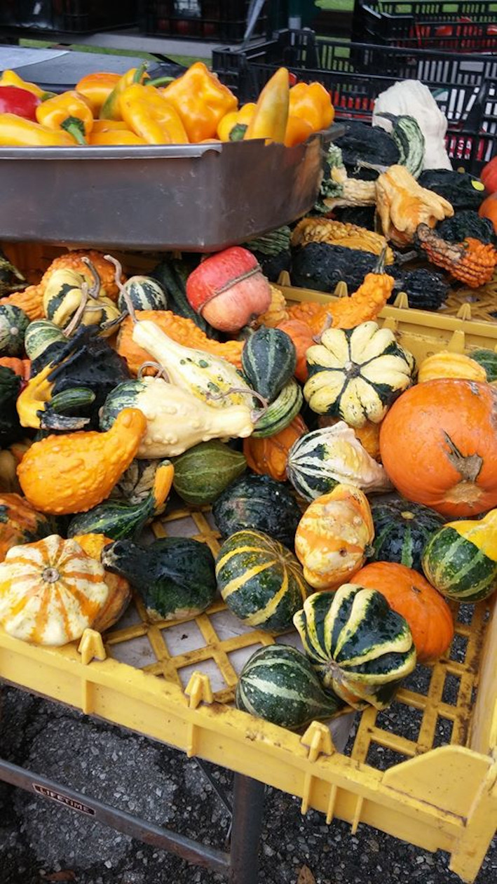 Manchester Farmers Market | Michigan