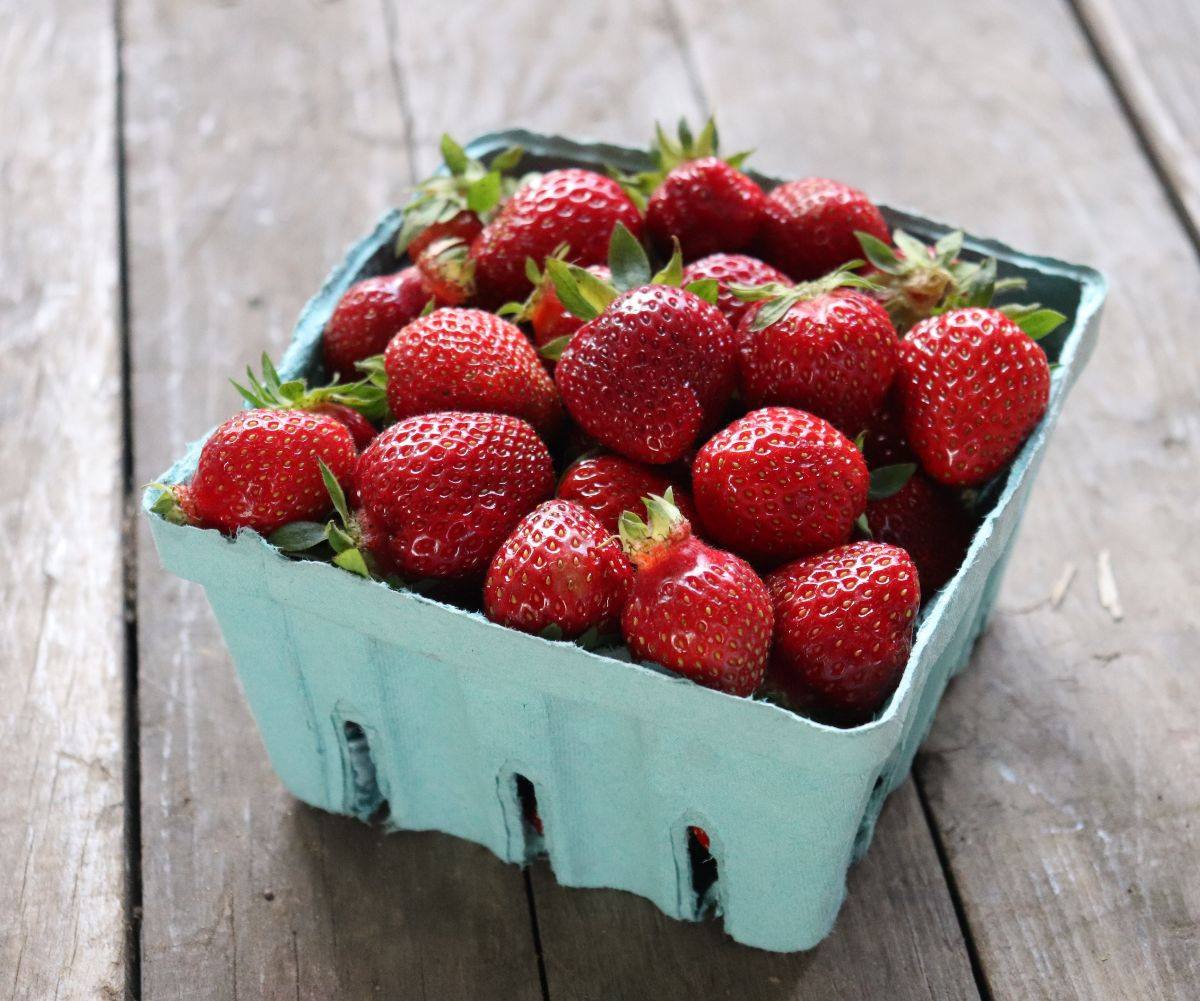 Corey Lake Orchards | Michigan