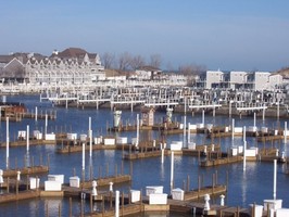 Oselka Marina | Michigan