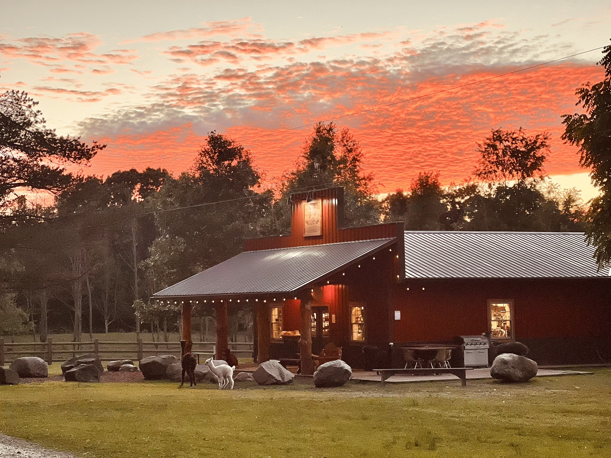 Lowry's Little Flock Farm | Michigan