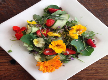Red Haven Farm to Table | Michigan