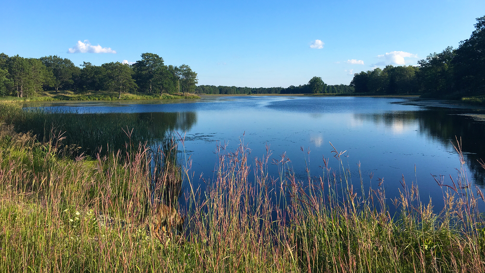 Wilderness Ranch | Michigan