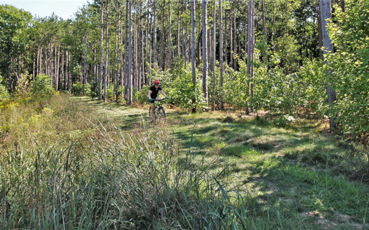 Riley Trails | Michigan