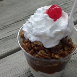 Captain Sundae South | Michigan