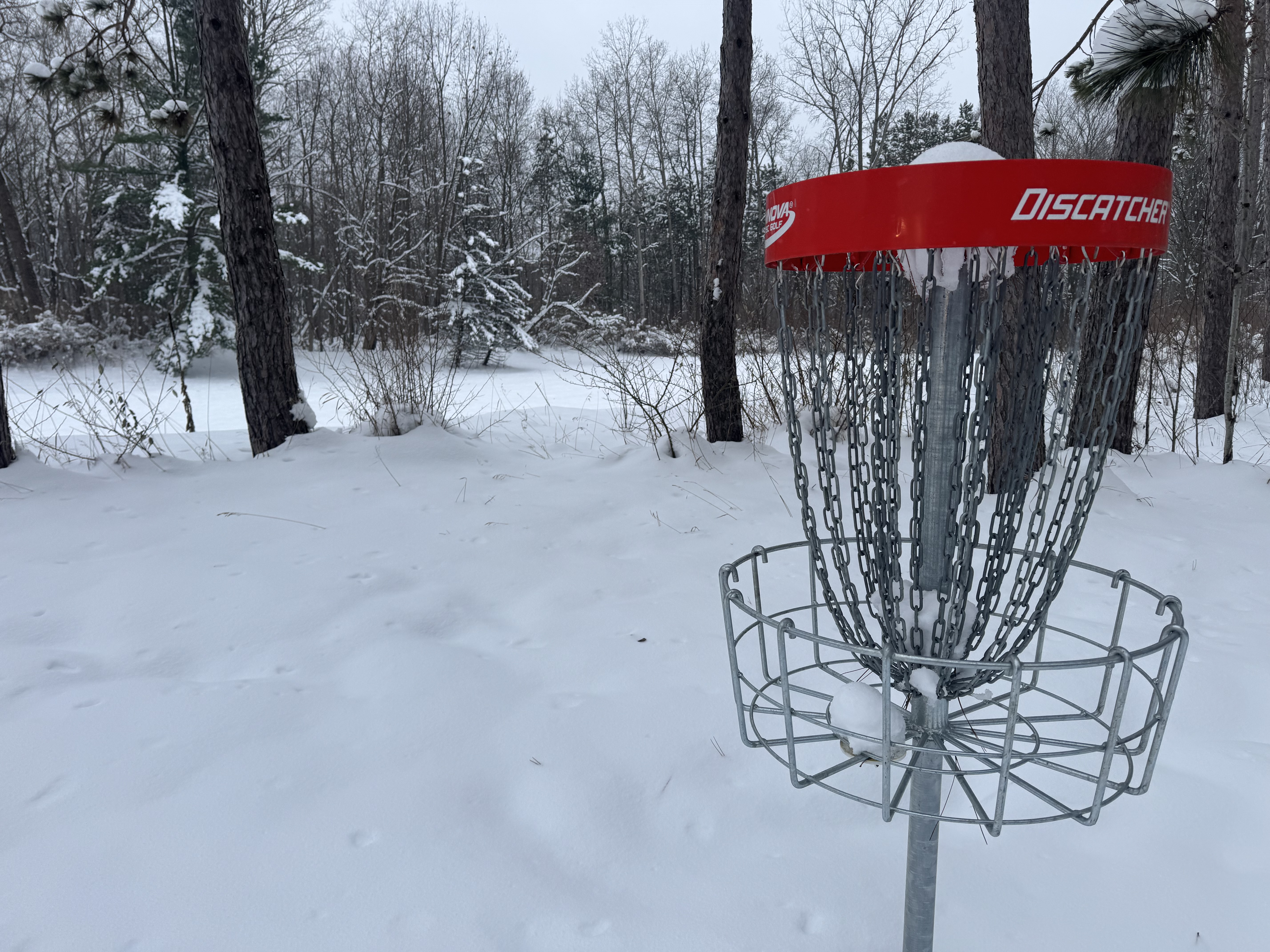 Muskegon River Bluffs Disc Golf Course | Michigan