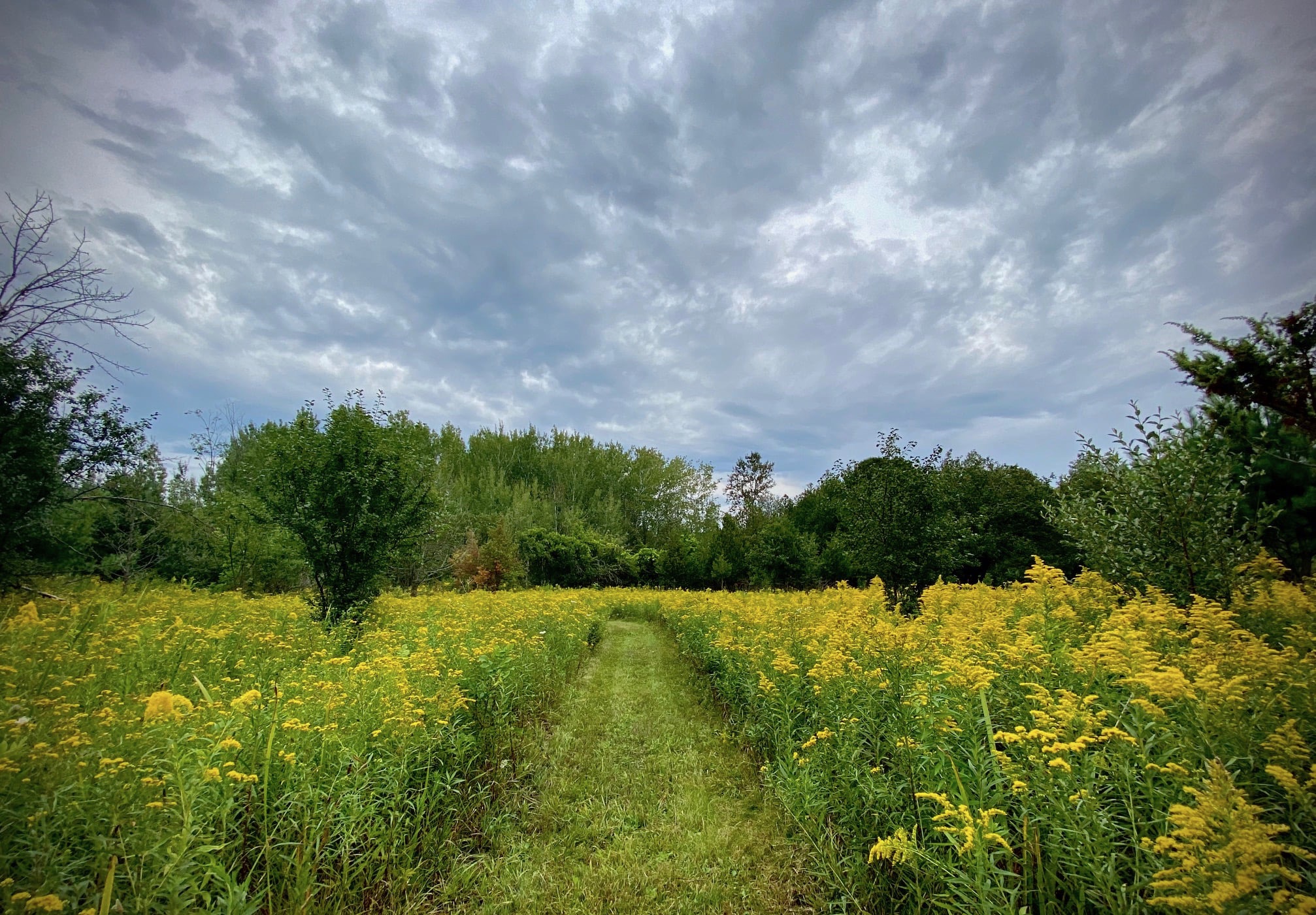 Porter Creek Natural Area | Michigan